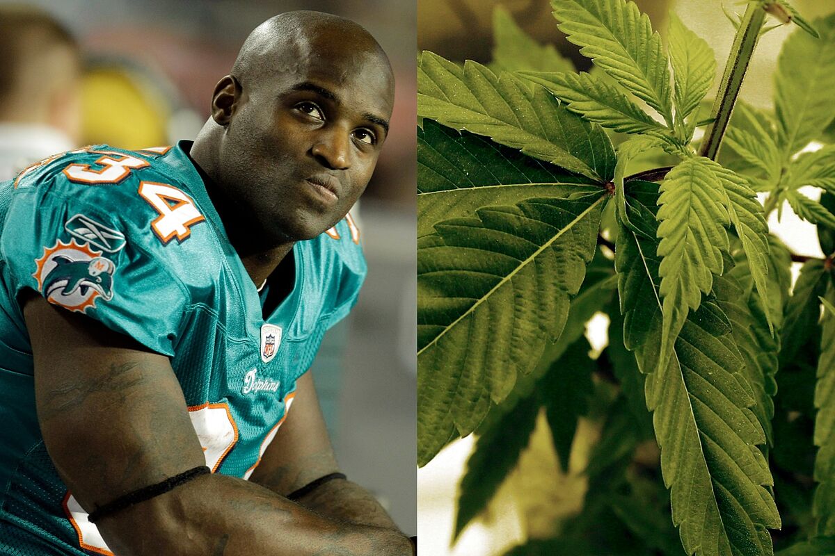 Former NFL star Ricky Williams advocates for marijuana use as a ...