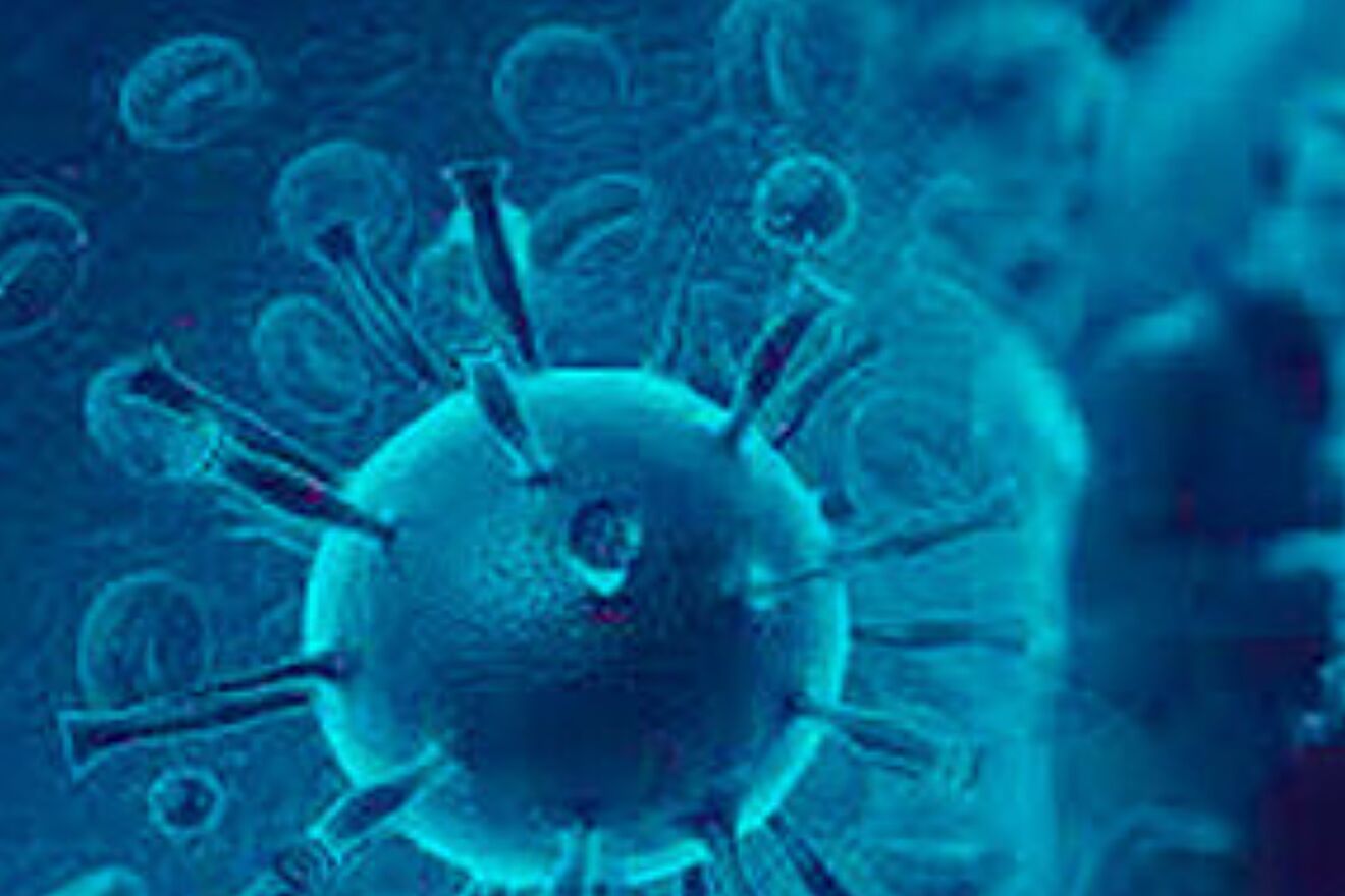 Sloth Fever explained by experts: Oropouche virus symptoms, spreading ...