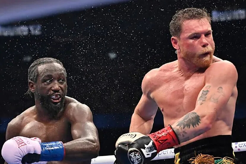 Why Canelo vs Crawford Was More Than Just a Fight - ELMENS