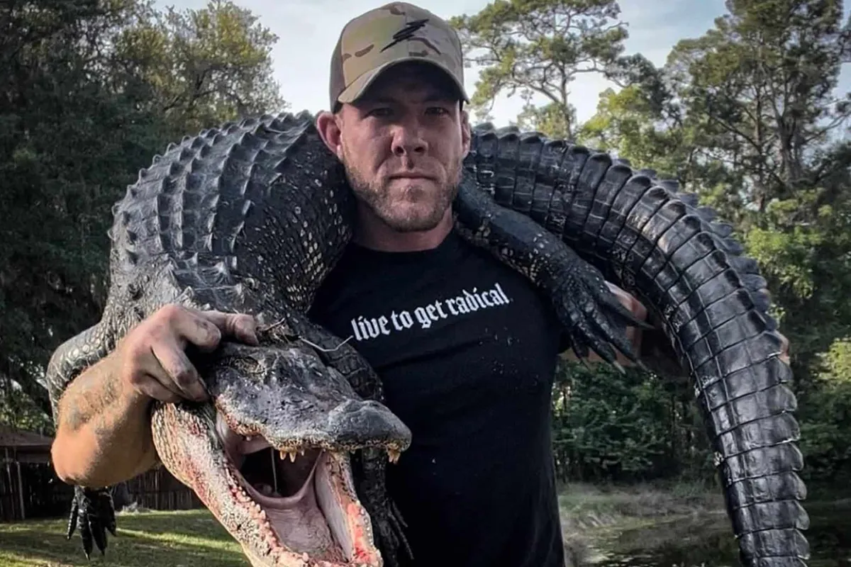 Massive 10-foot alligator gets captured along a Florida highway by a ...