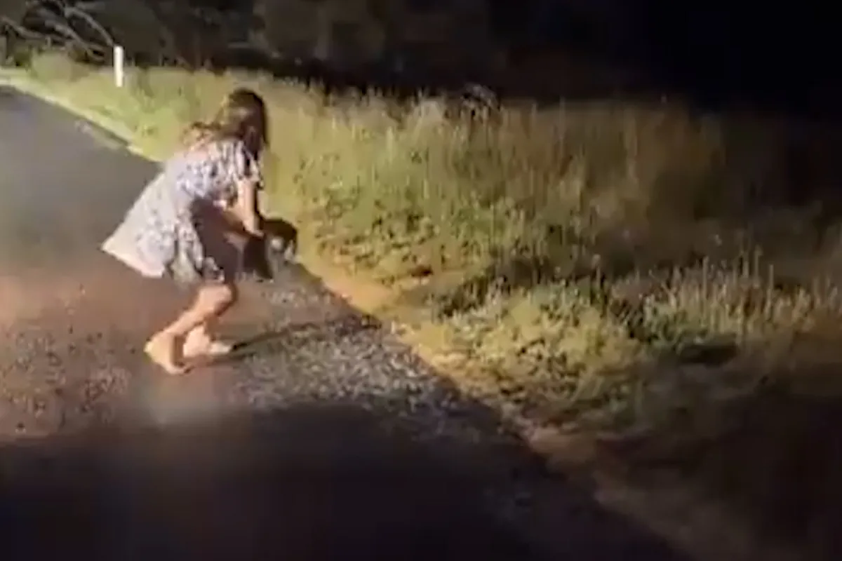 Influencer sparks outrage after taking baby wombat from its mother | Marca