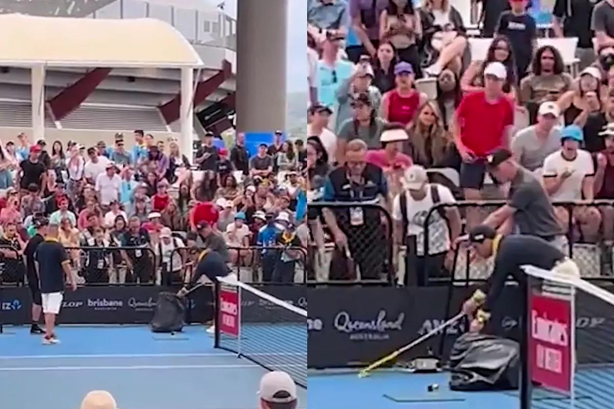 Venomous snake surprises on the court and interrupts a tennis match in ...