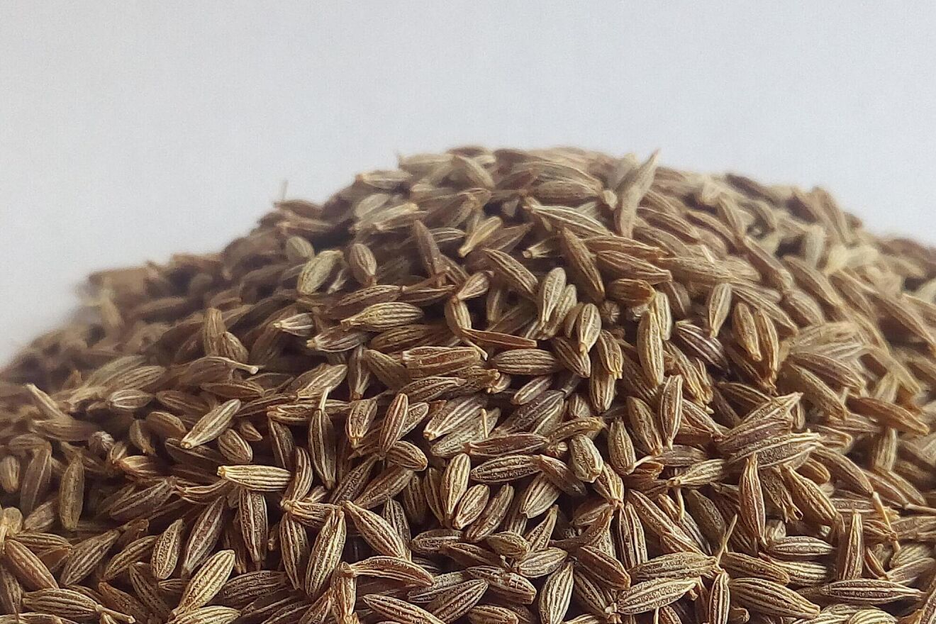 The everyday plant that improves digestion and you didn't know about ...