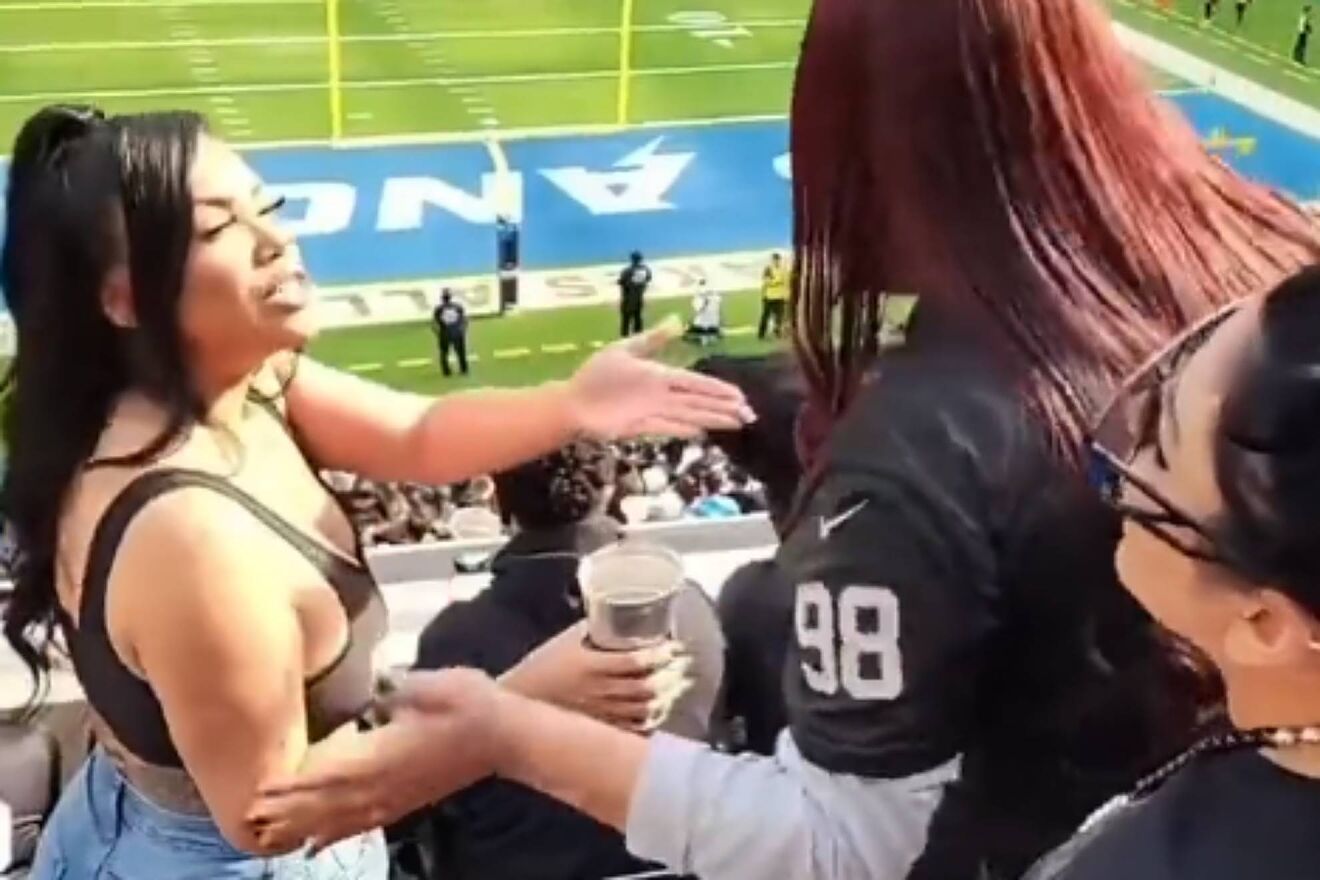 Trouble with NFL stadium brawls: Violence between fans... and even a ...