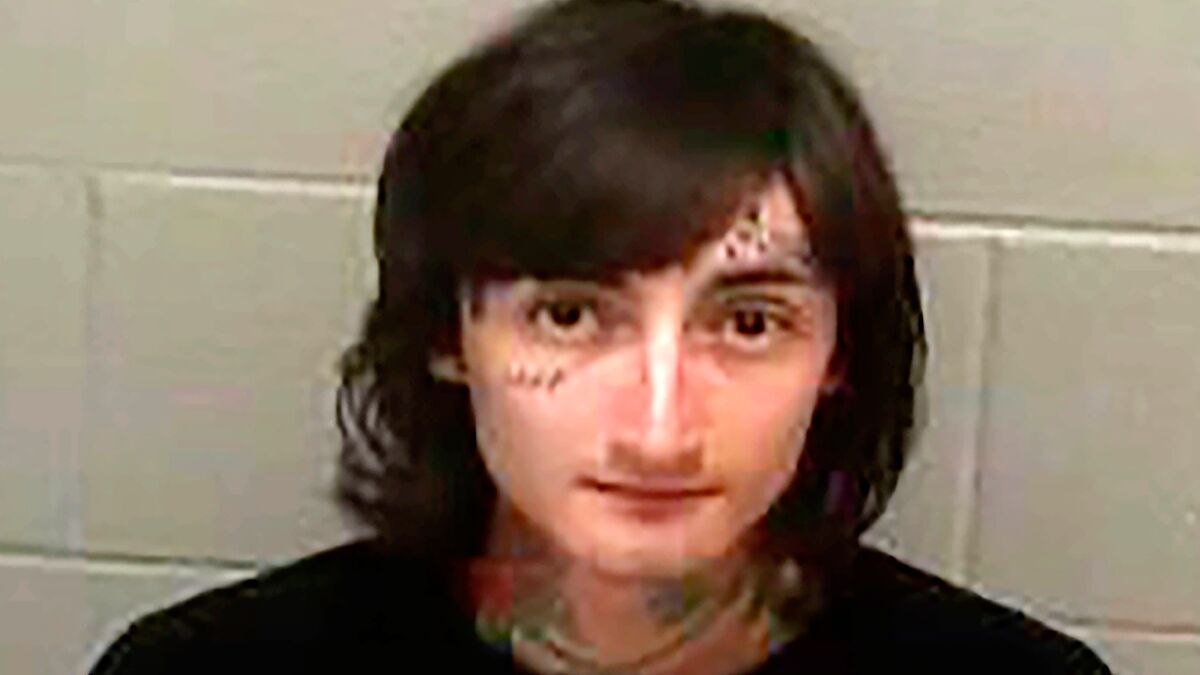 Robert 'Bobby' Crimo III's cold-blooded confession after killing 7 at ...