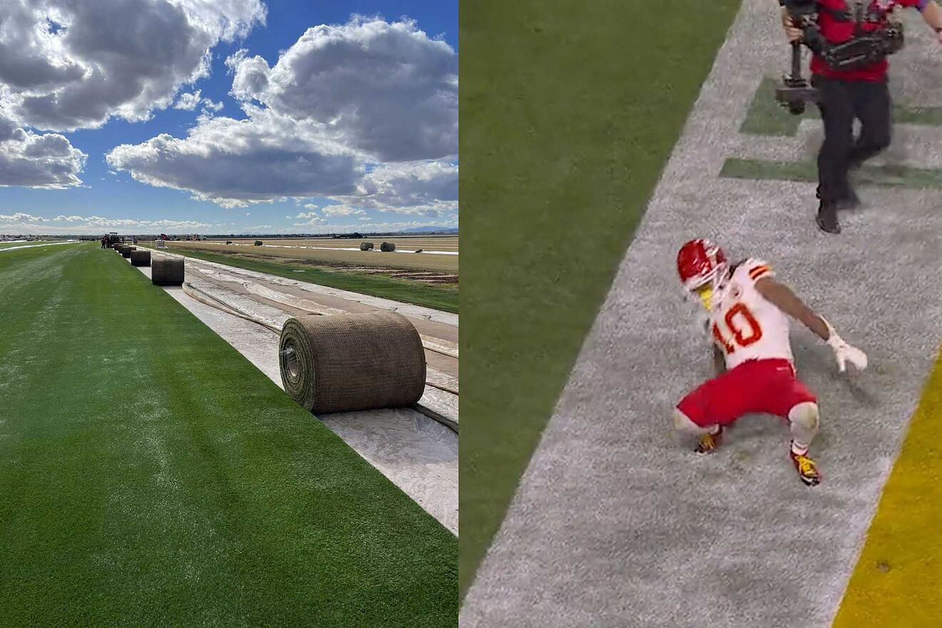 Super Bowl LVII's turf took two years to prepare and cost 800k: it ...