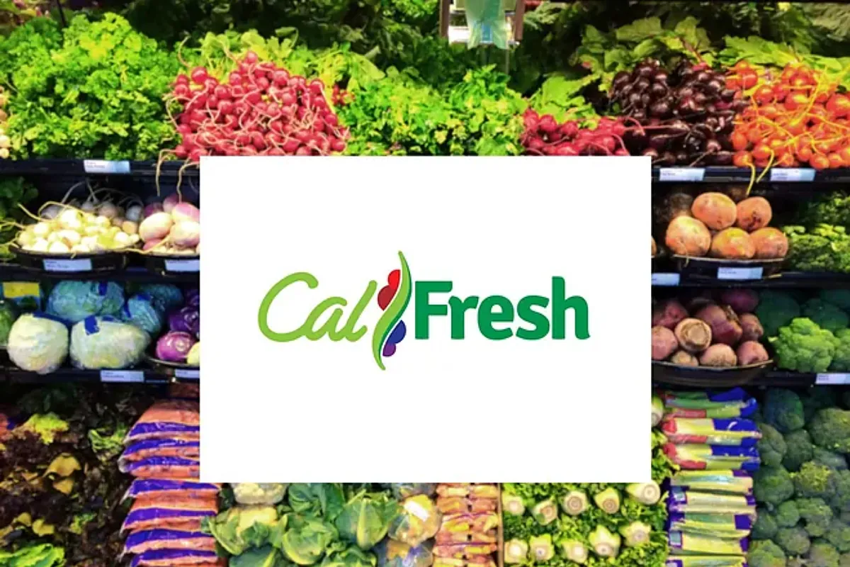 CalFresh recertification September 2025: What is the deadline to not ...