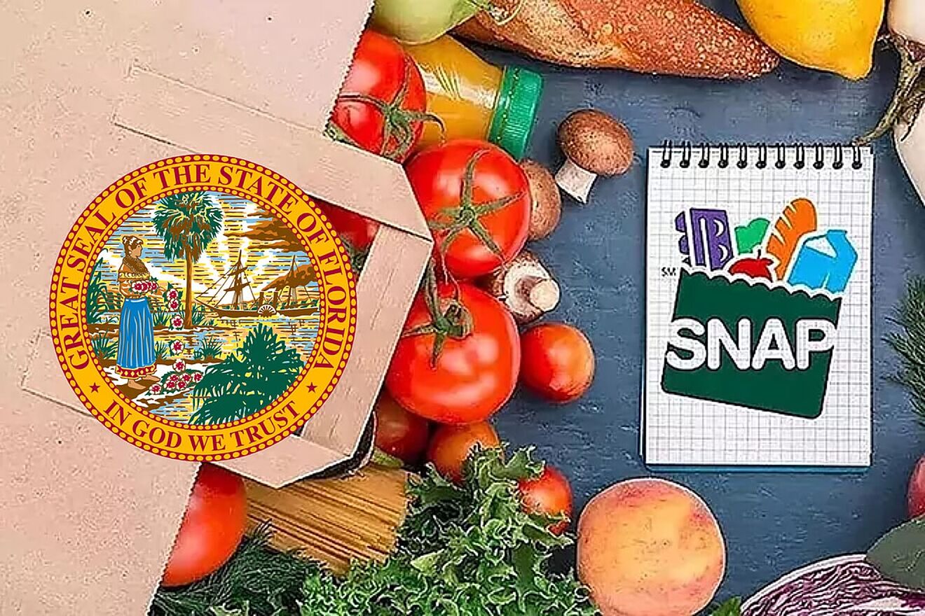 SNAP Florida Recertification May 2025: When can you start your renewal ...