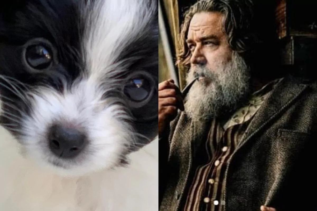 Russell Crowe shares heartbreaking passing of his puppy on his father's ...