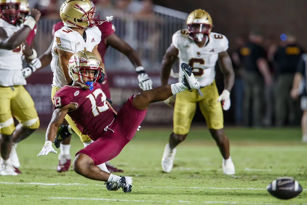 Florida State Seminoles fan backs himself into a corner with hilarious ...