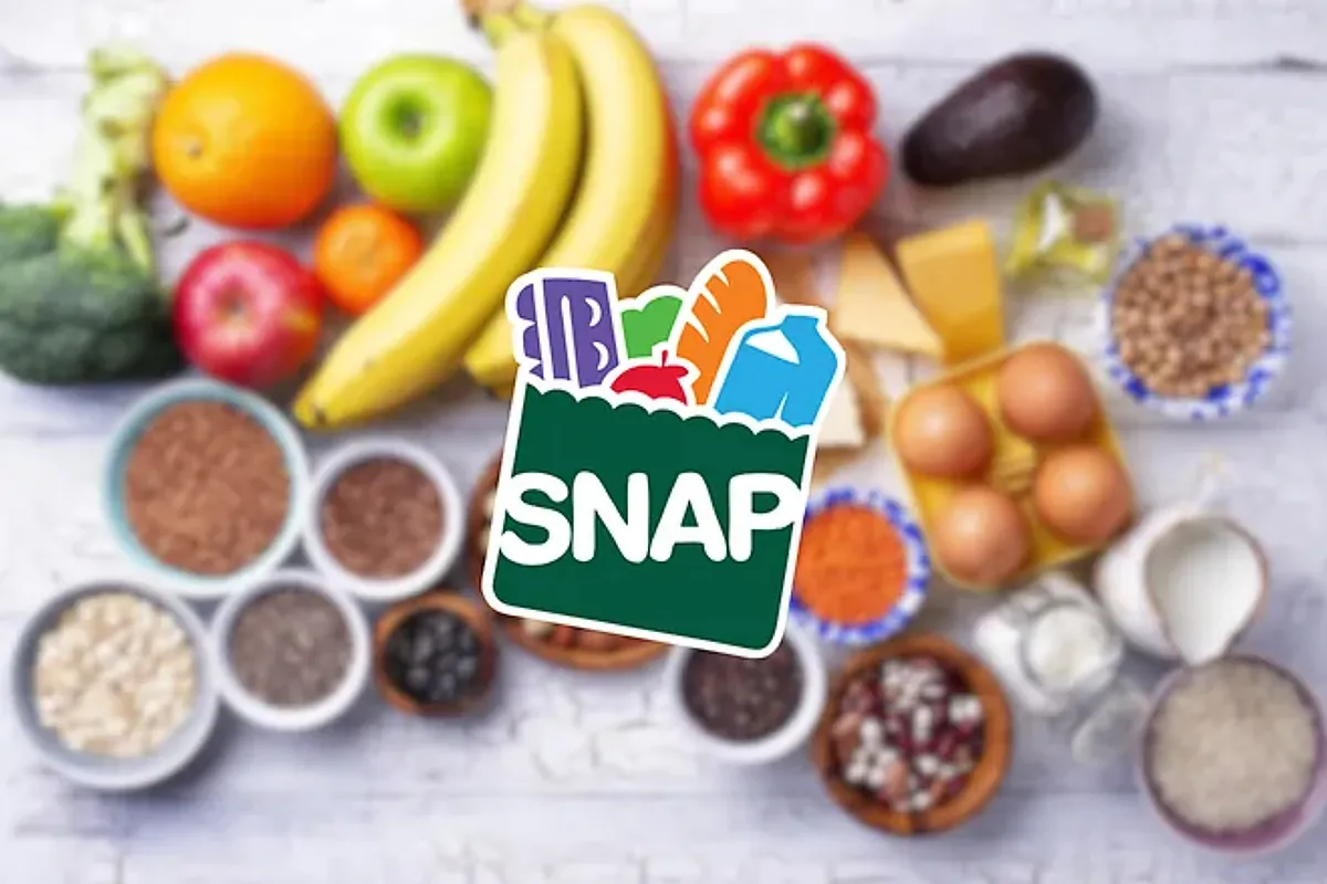 These are the beneficiaries who receive their SNAP Florida payment in ...